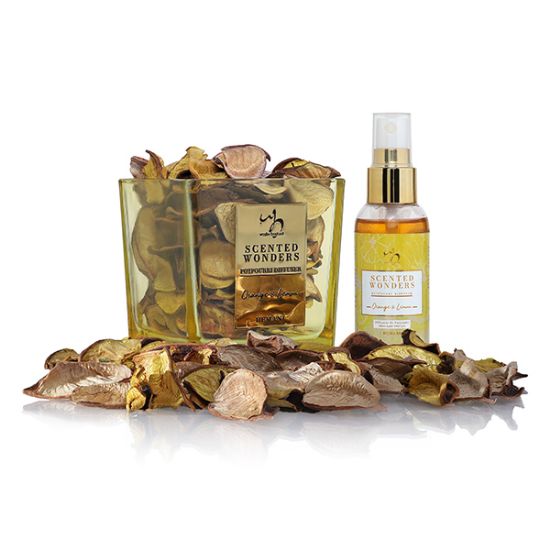 Diffuser - Scented Wonders Potpourri Diffuser - Orange & Lemon - In Stock - 8961102817052